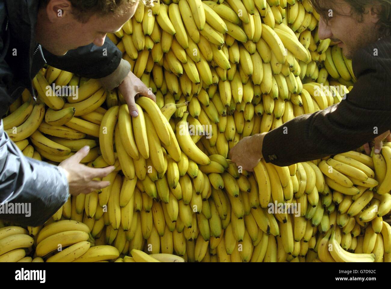 A work of art by doug fishbone hi-res stock photography and images - Alamy