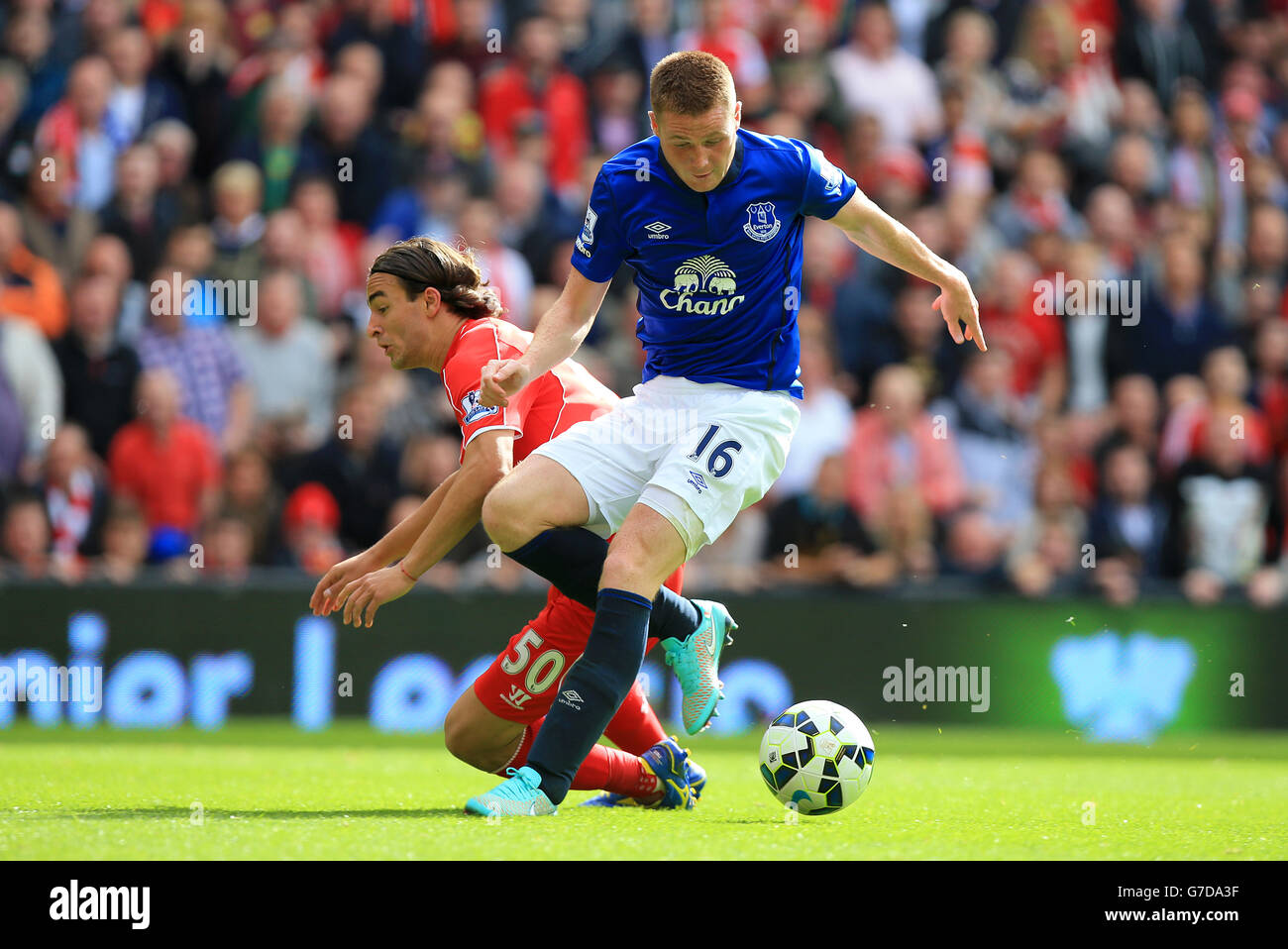 Everton's James McCarthy (right) and Liverpool's Lazar Markovic battle ...