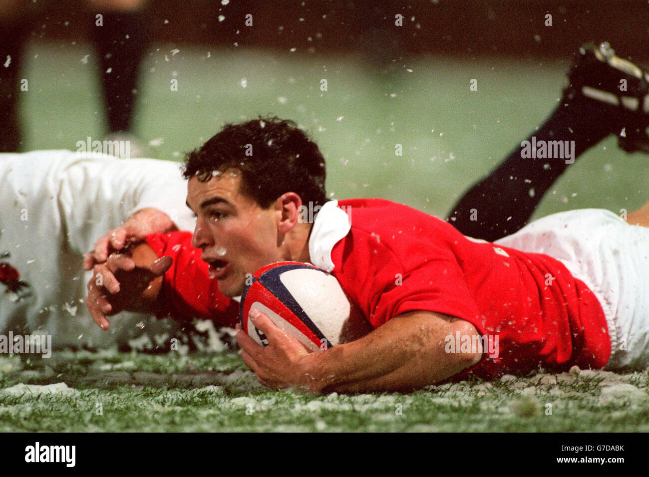 Mark robinson new zealand hi-res stock photography and images - Alamy