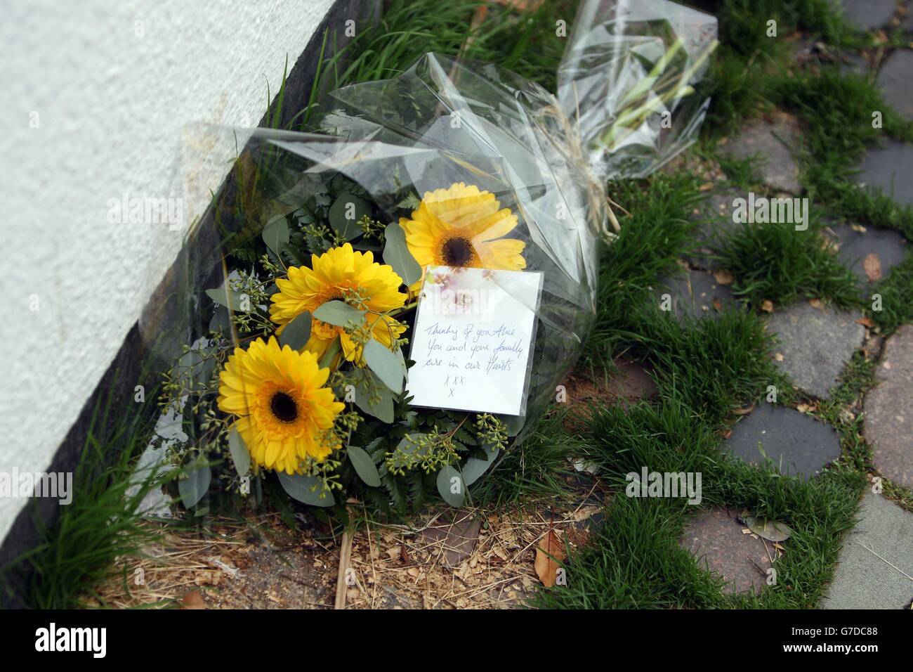 Alice Gross death Stock Photo - Alamy