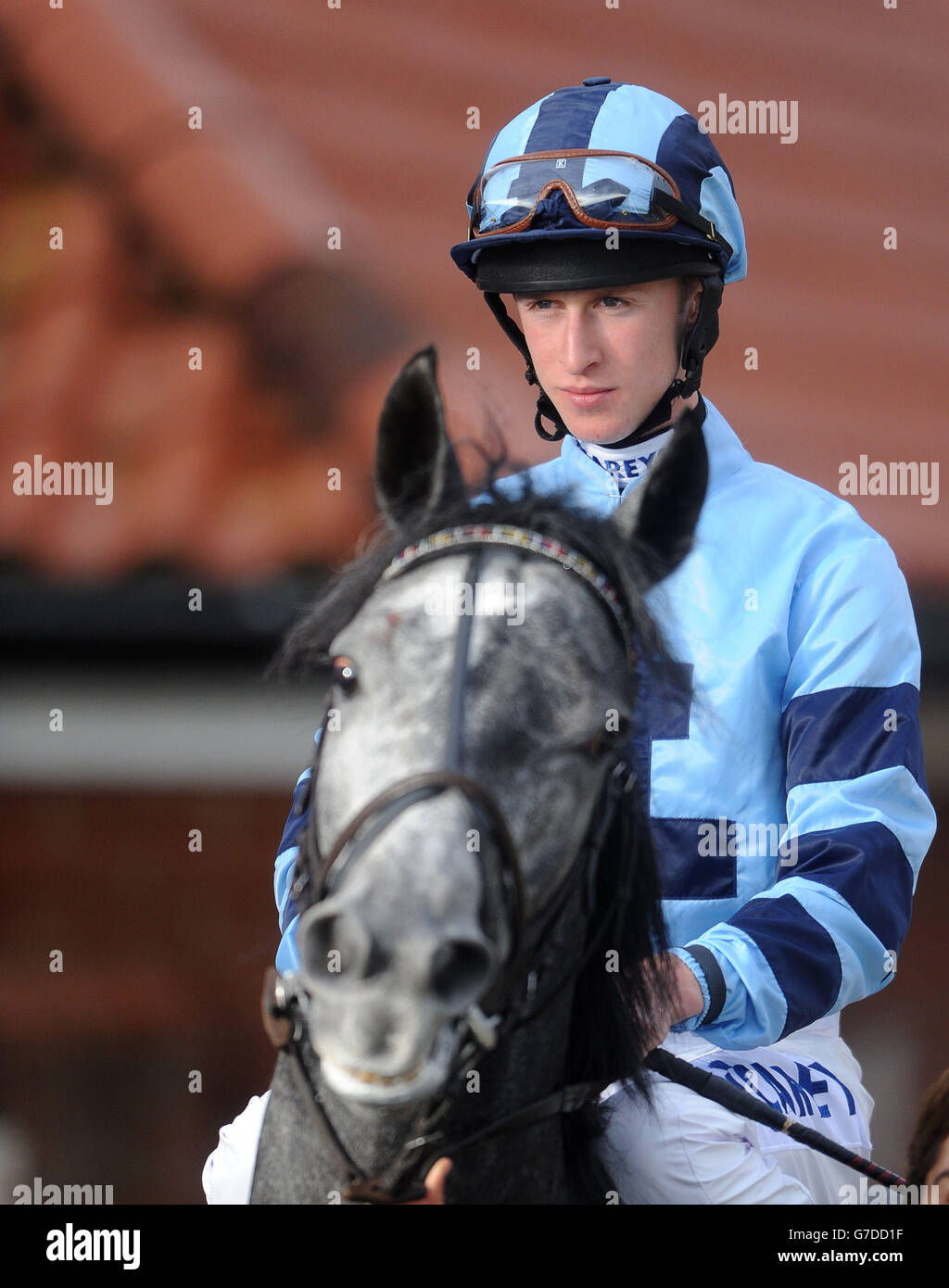 Jockey Joey Haynes prior to The EBF Stallions National Stud Boadicea ...