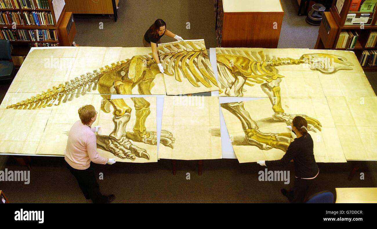 George Scharf High Resolution Stock Photography and Images - Alamy