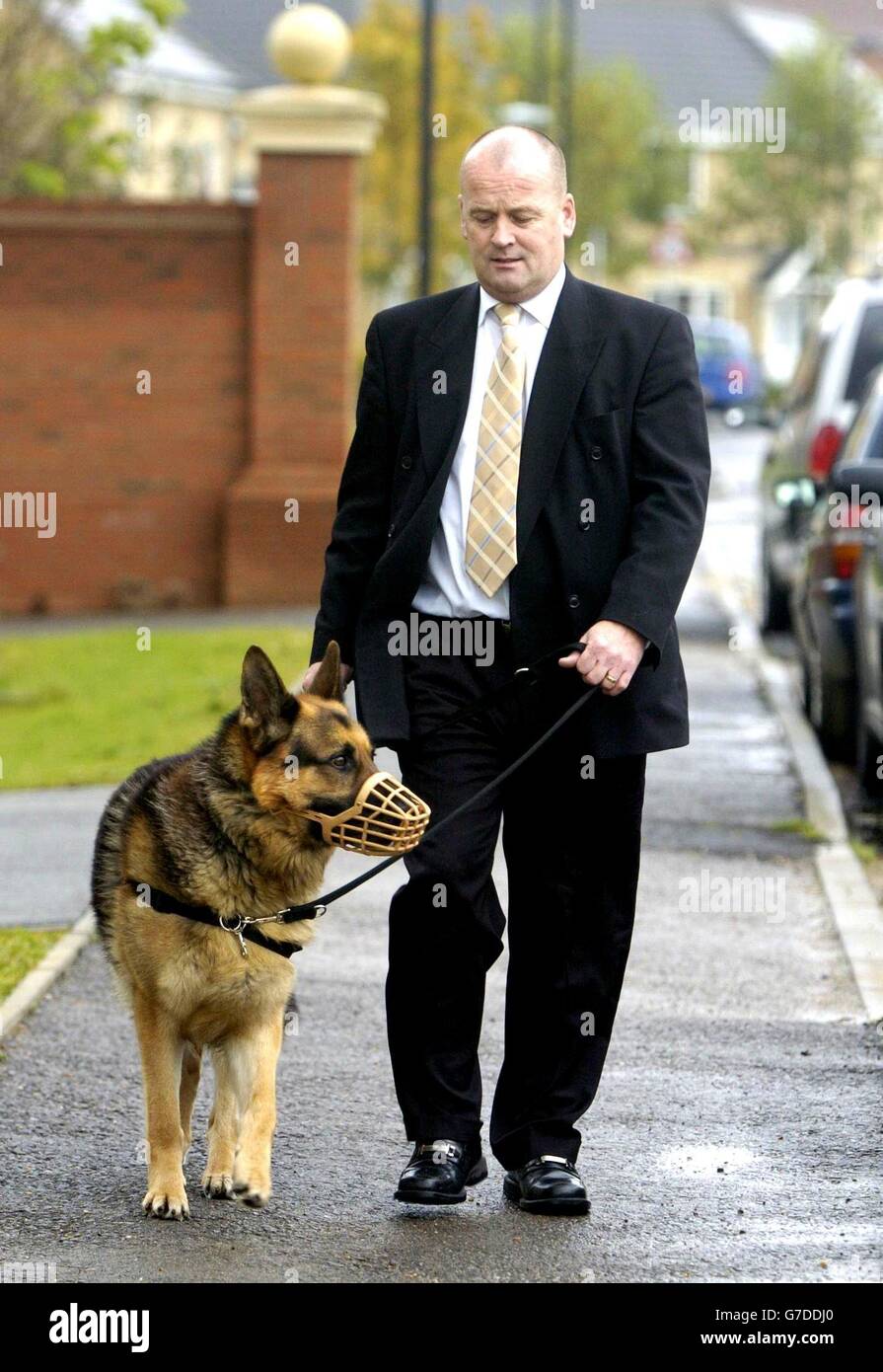 Owner bryan lamont with german shepherd dog hi-res stock photography ...