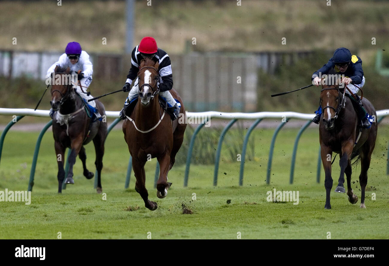 Horse Racing - Nottingham Racecourse Stock Photo - Alamy