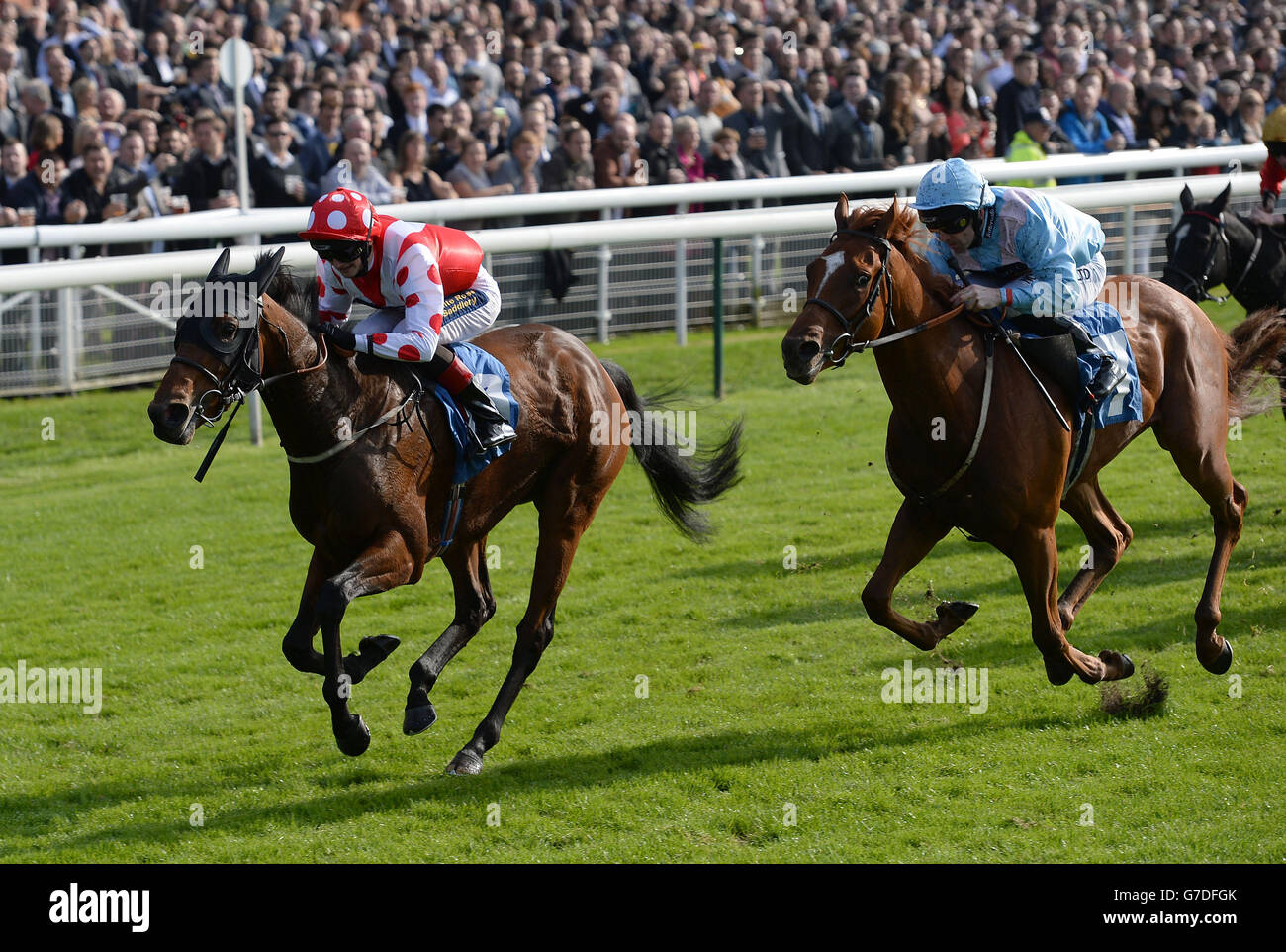 Horse Racing - Coral Sprint Trophy Day - York Racecourse Stock Photo ...