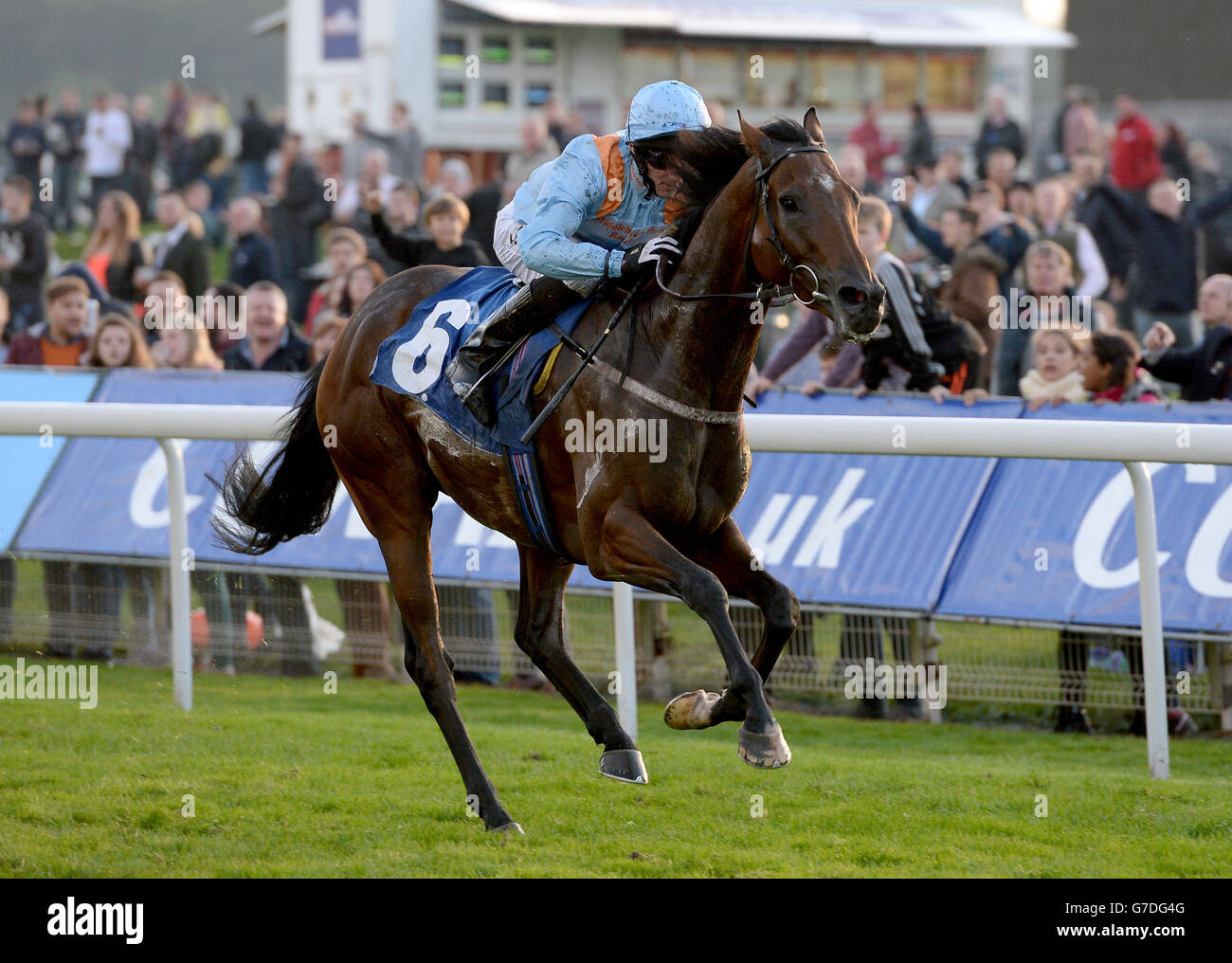 Horse Racing - Coral Sprint Trophy Day - York Racecourse Stock Photo ...