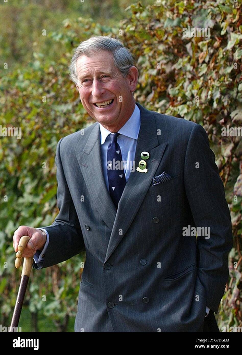 Italy The Prince Flies To Istanbul High Resolution Stock Photography ...