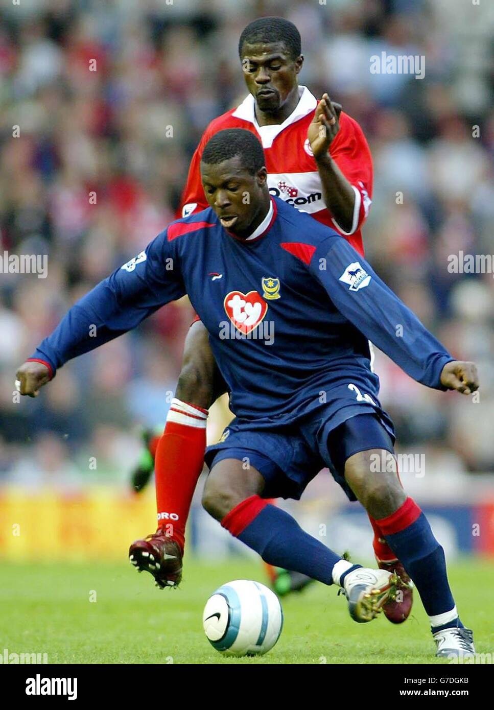 Bonteng hi-res stock photography and images - Alamy