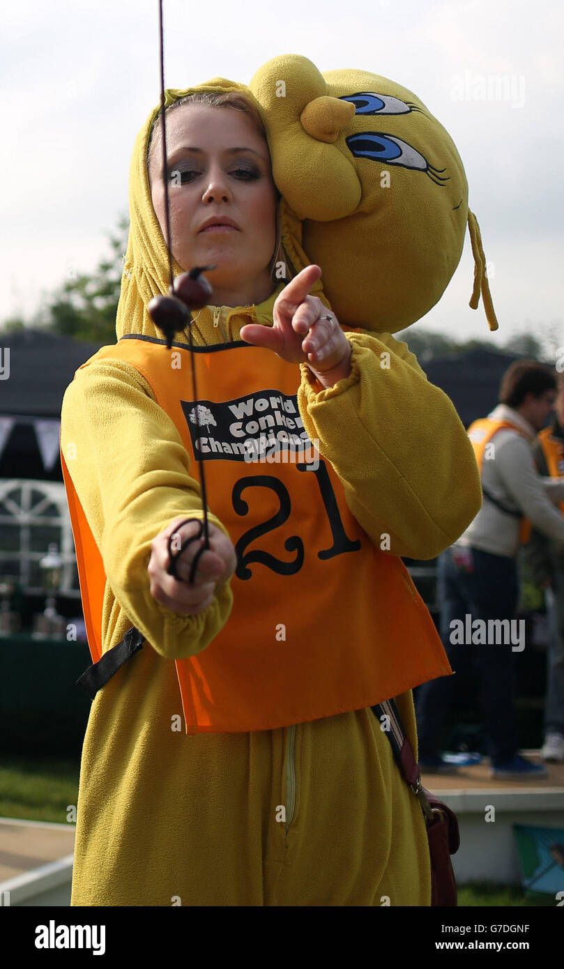 World Conker Championships Stock Photo - Alamy