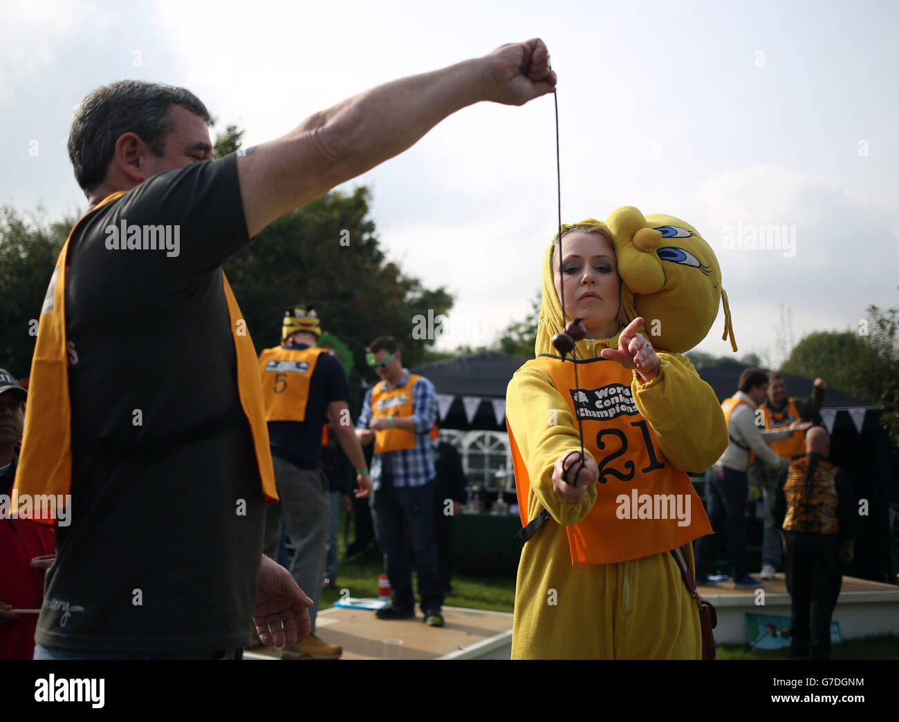 World Conker Championships Stock Photo - Alamy