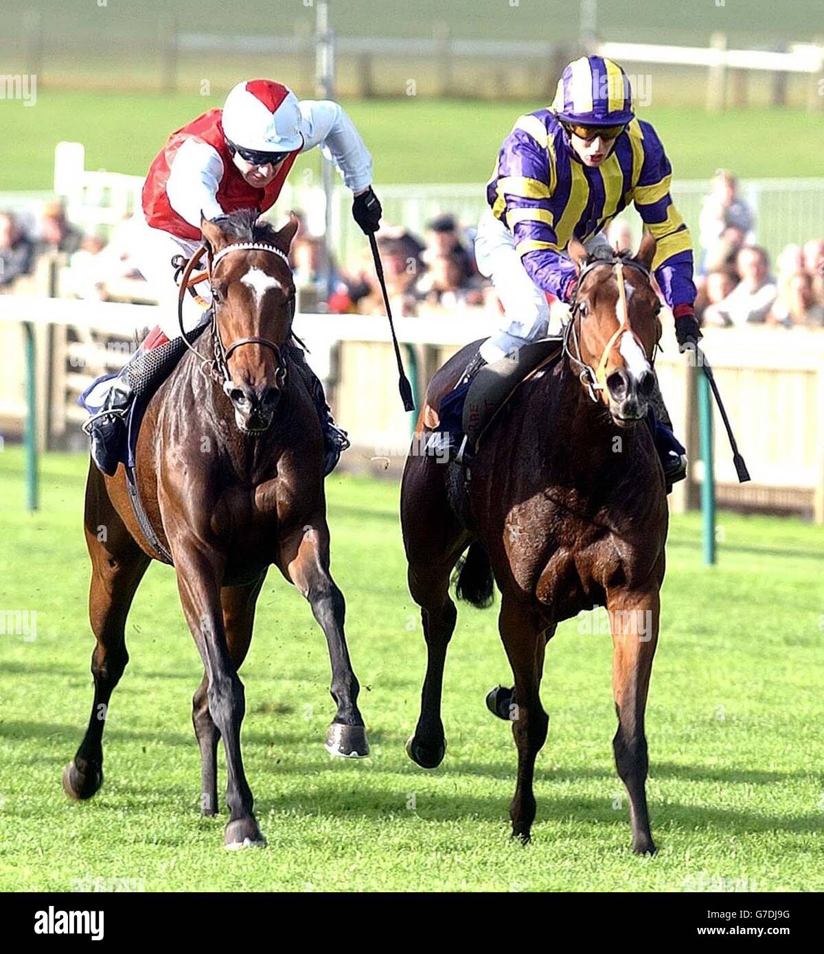 Chris Catlin on Bahia Breeze (R) leads the field to win the EBF Bosra ...