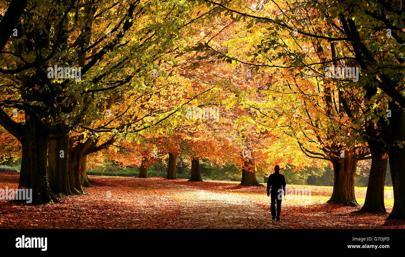Weather autumn autumncollectionkr autumncollection hi-res stock ...