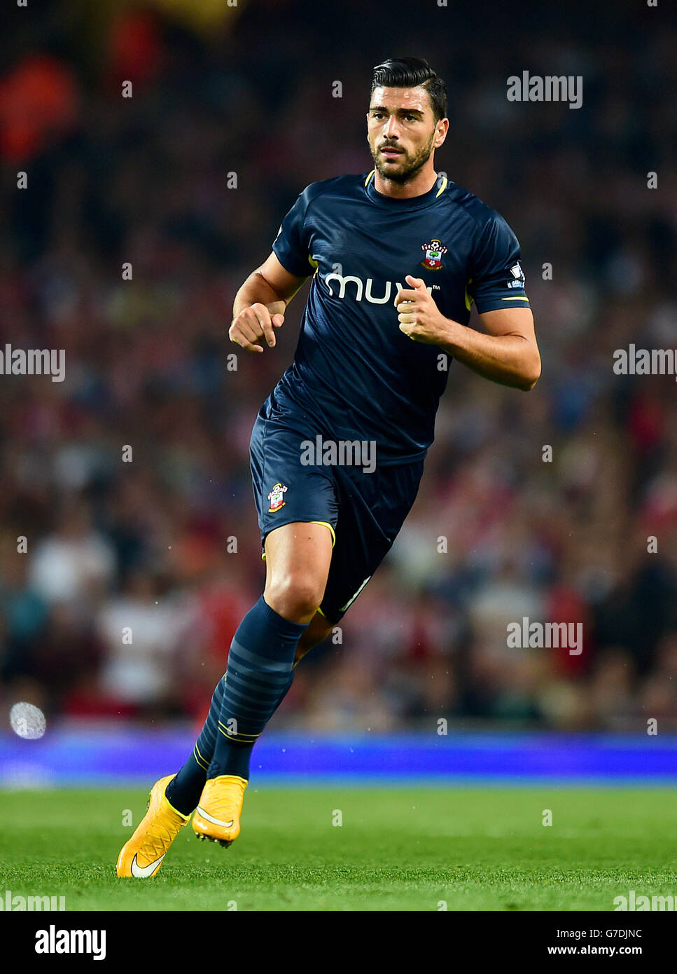 Pelle southampton hi-res stock photography and images - Alamy