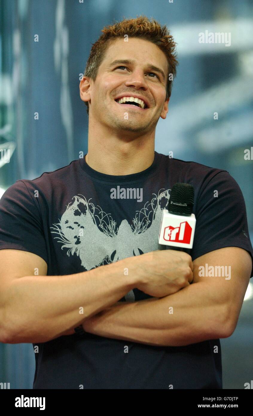 David Boreanaz