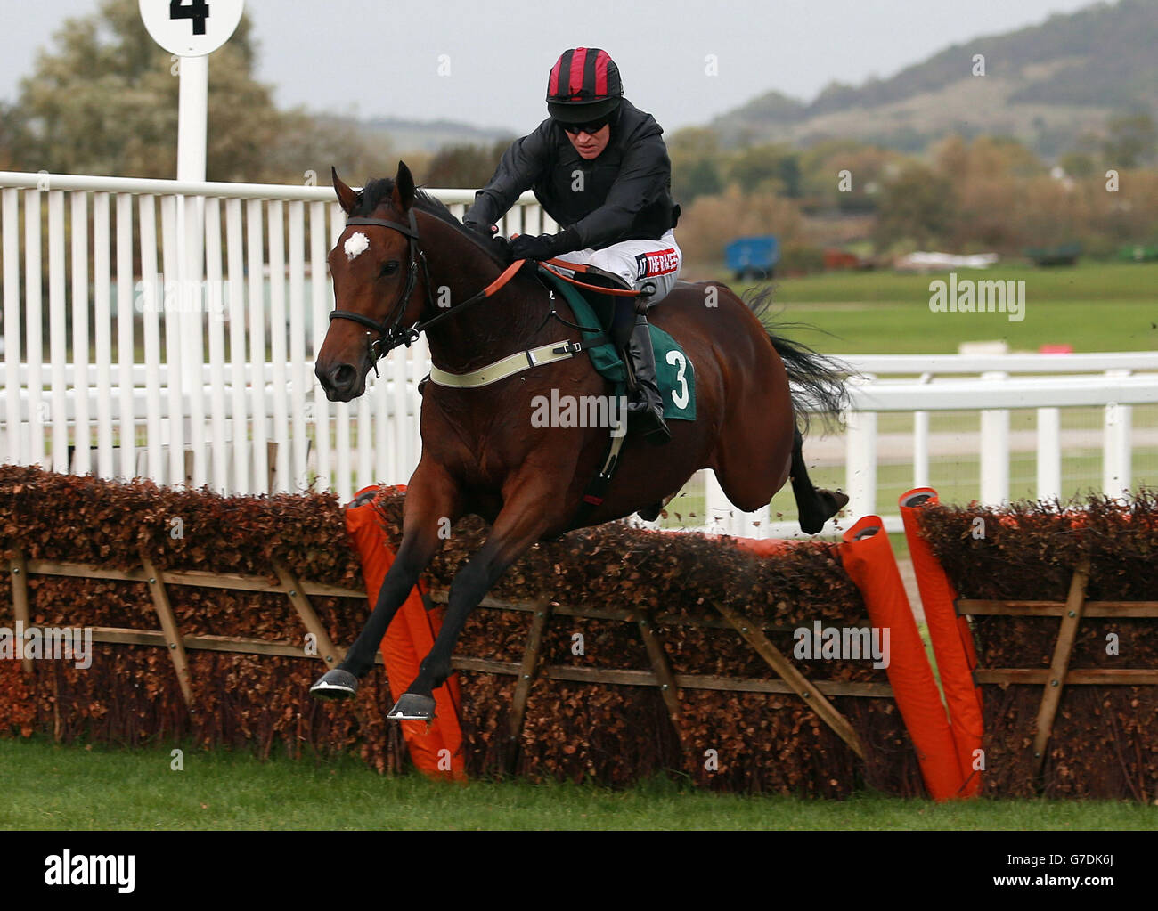 Hardie maiden hurdle at cheltenham racecourse hi-res stock photography ...