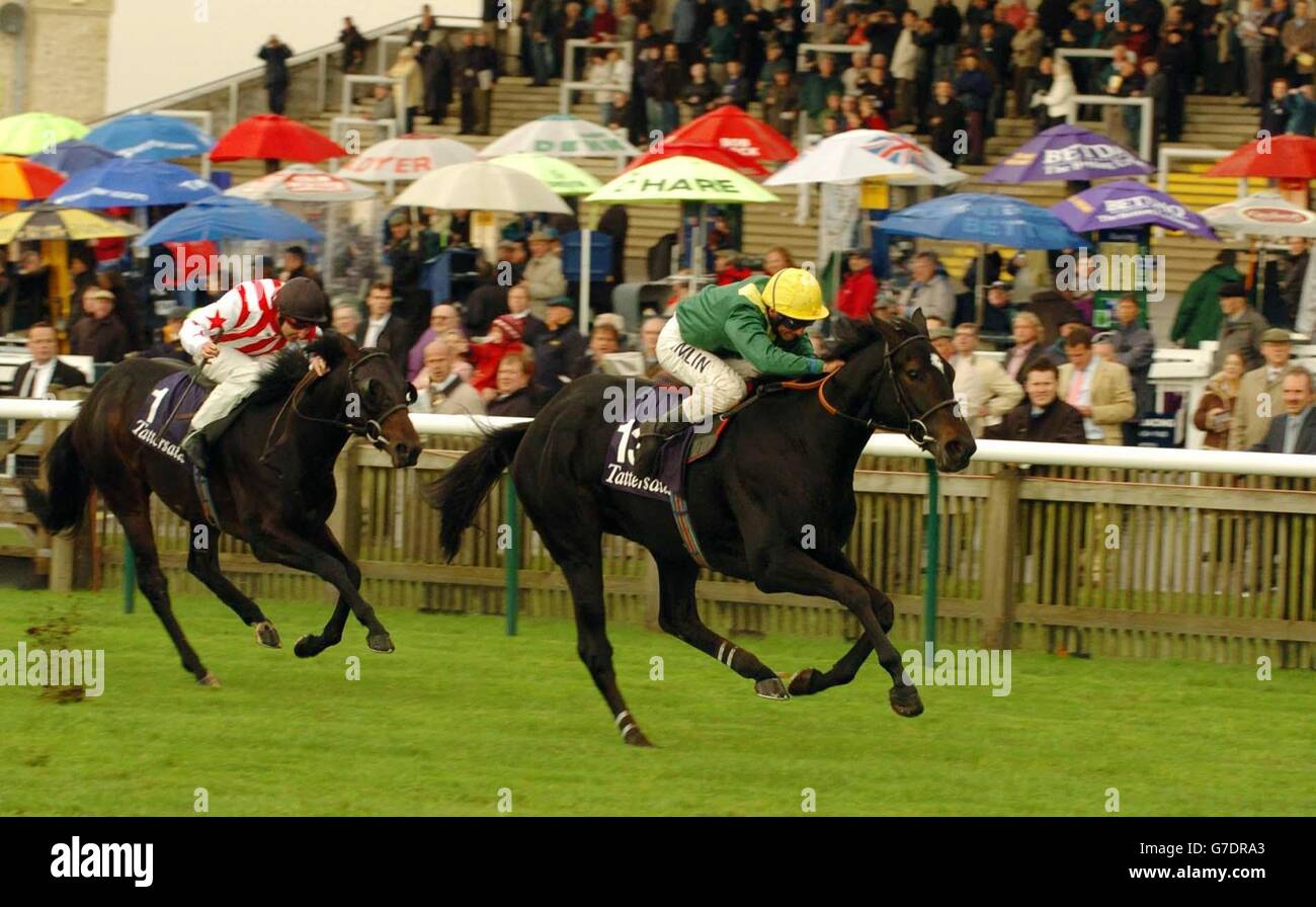 Richard Quinn on Cape Columbine wins the 100.000 Tattersalls Autumn ...