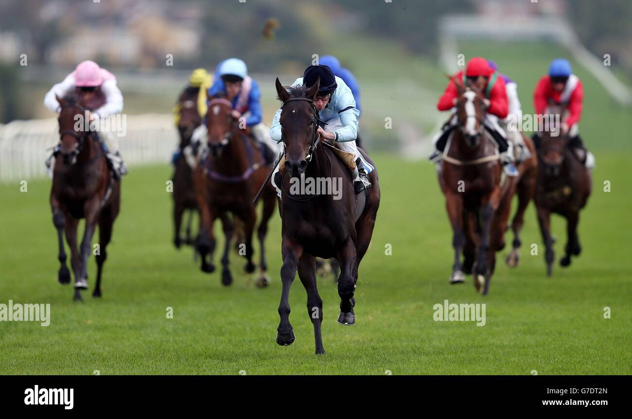 Horse Racing - Leicester Racecourse Stock Photo - Alamy