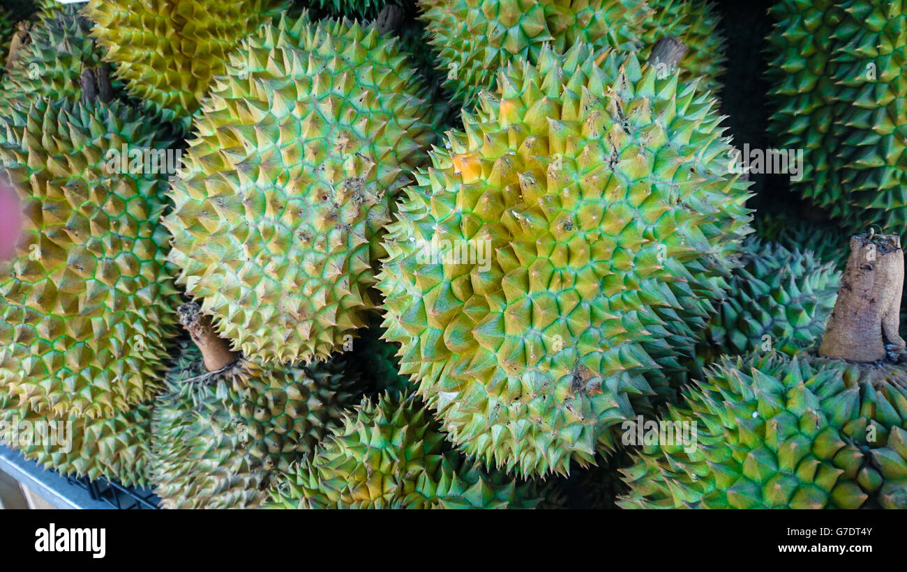 The durian hi-res stock photography and images - Alamy