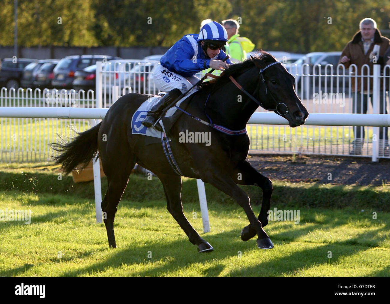 Horse Racing - Leicester Racecourse Stock Photo - Alamy