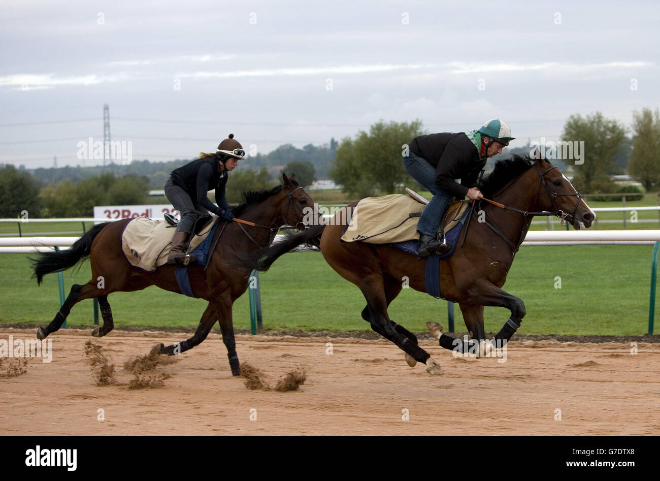 Toast of new york horse hi-res stock photography and images - Alamy