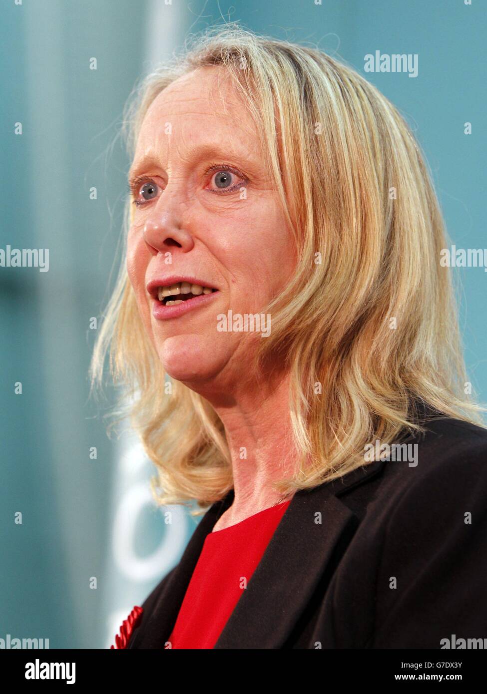 Labour's Liz Mcinnes celebrates her victory after the count for the ...