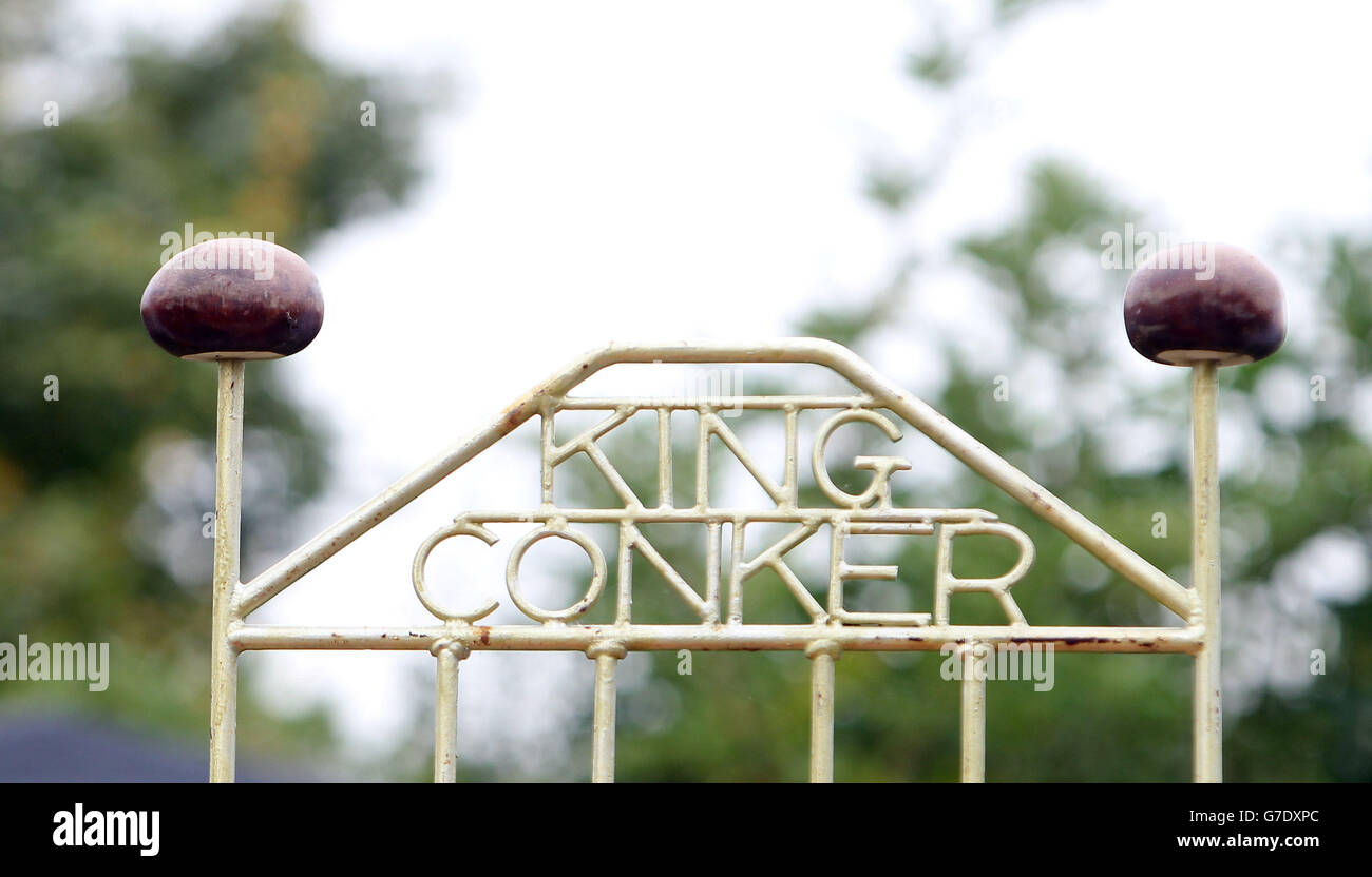 The King Conker throne at the World Conker Championships in Southwick ...