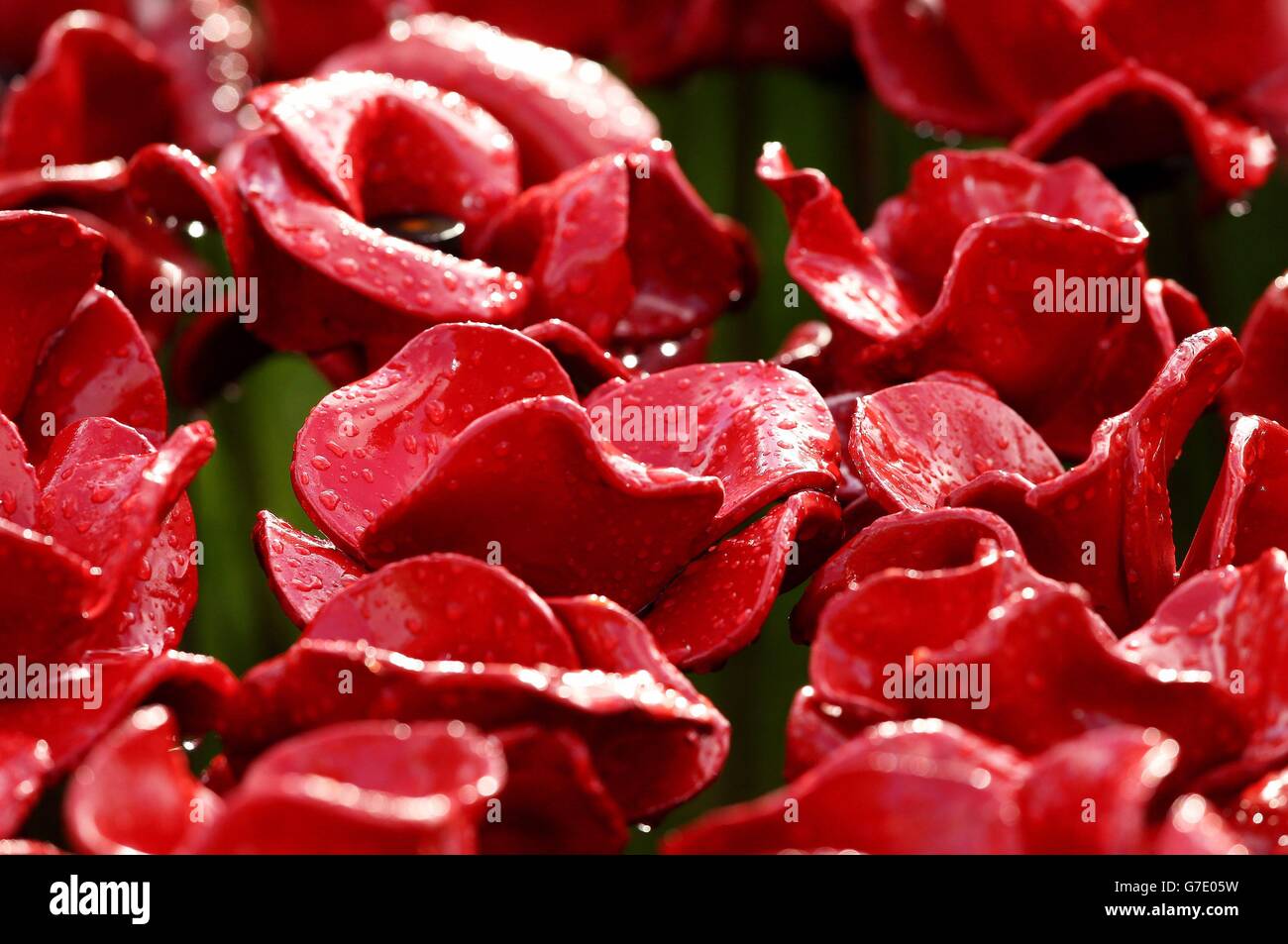 Queen elizabeth ii and tower of london poppies hi-res stock photography ...