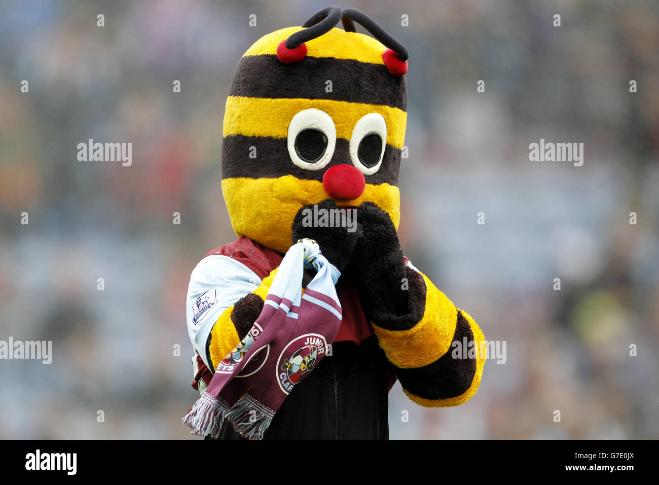 Bertie bee football mascot hi-res stock photography and images - Alamy