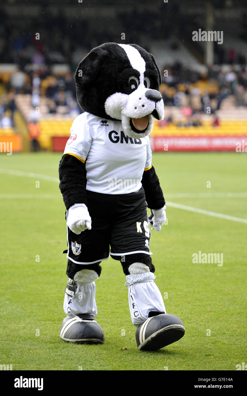 Port vale mascot boomer hi-res stock photography and images - Alamy