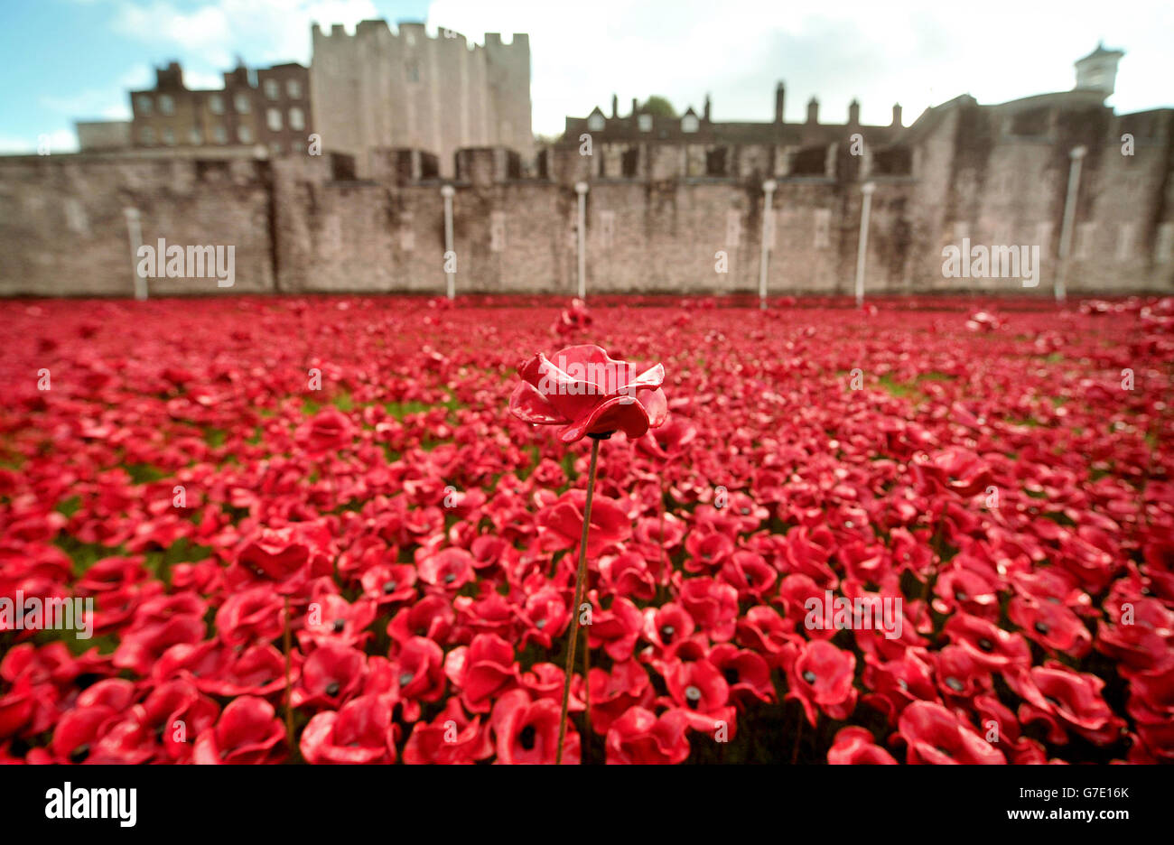 General view of the Tower of London's Blood Swept Lands and Seas of Red ...