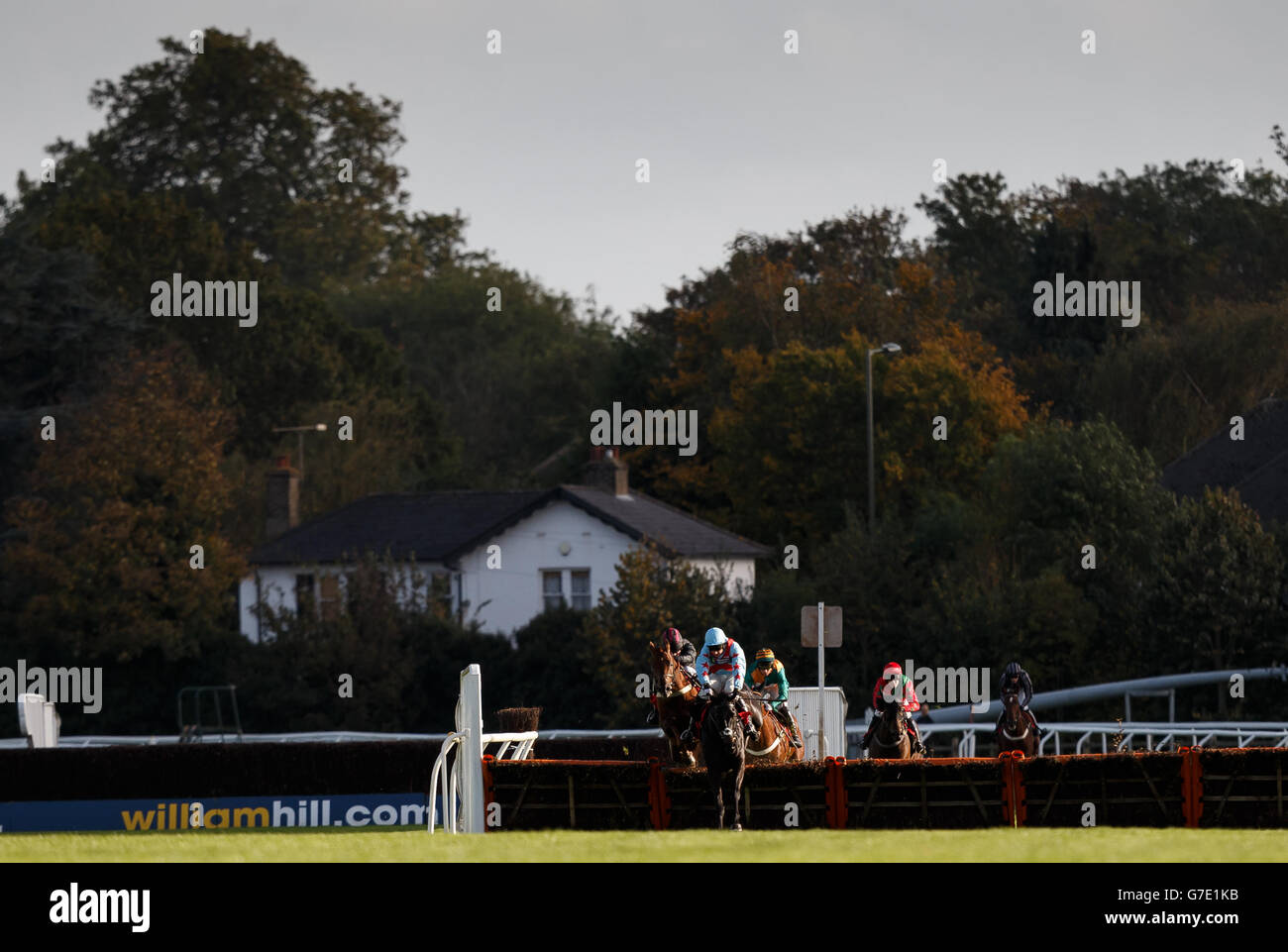 Horse Racing - Kempton Racecourse Stock Photo - Alamy