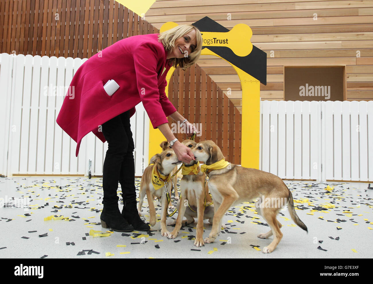 Opening of Dogs Trust - Manchester Stock Photo - Alamy