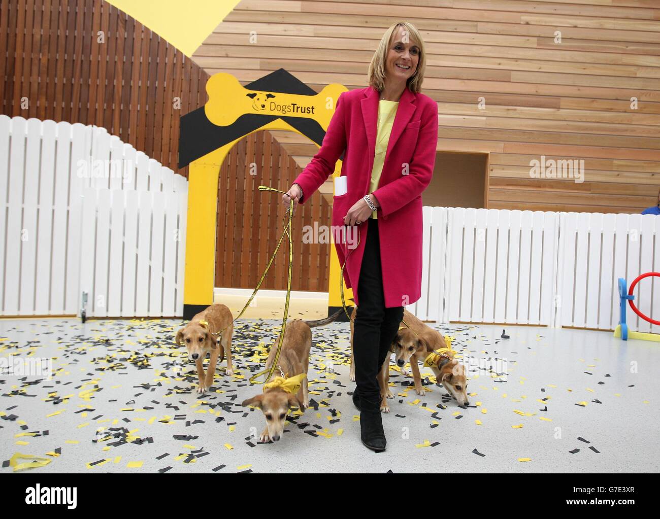 Opening of Dogs Trust - Manchester Stock Photo - Alamy