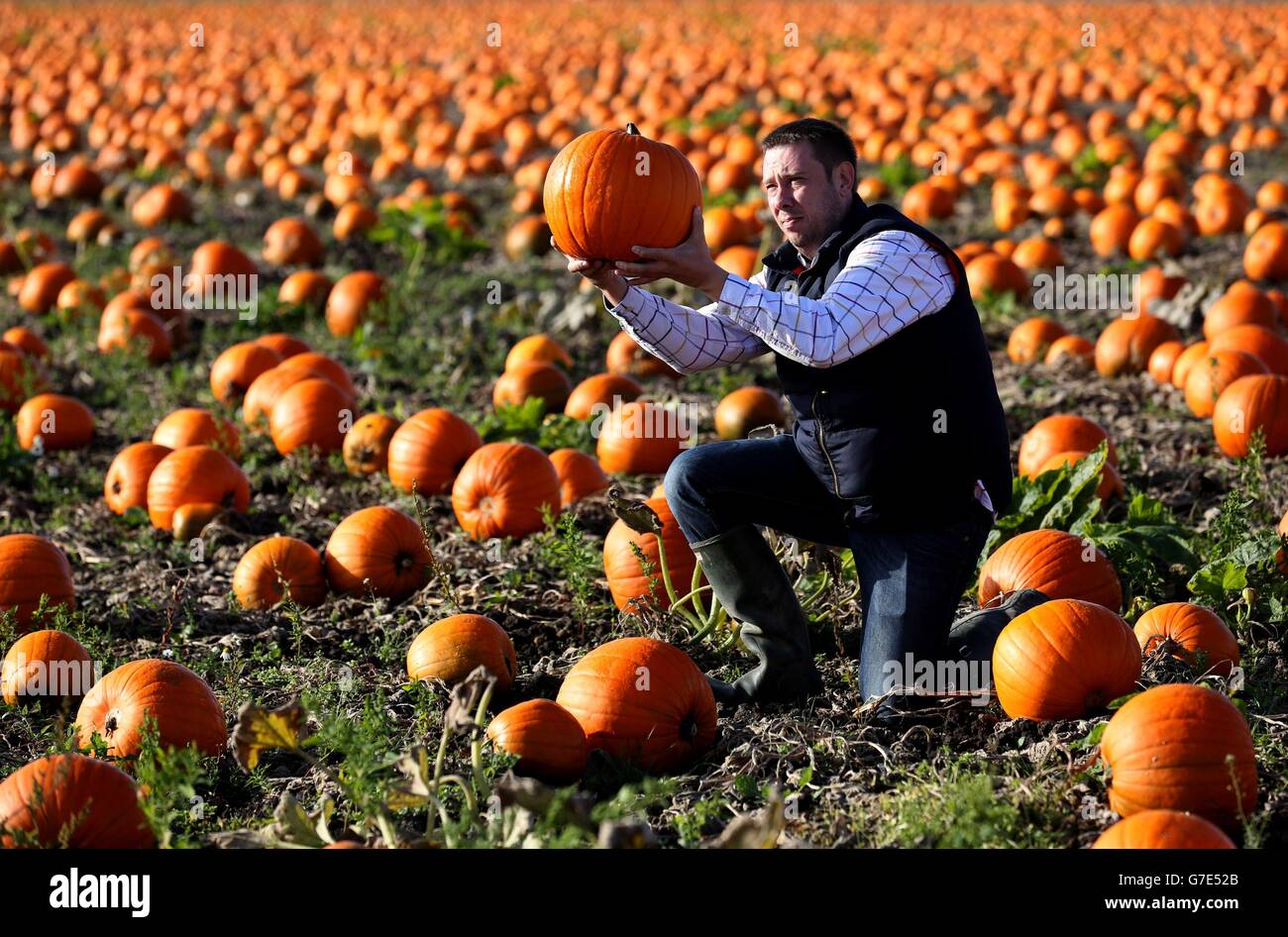 Curson hi-res stock photography and images - Alamy