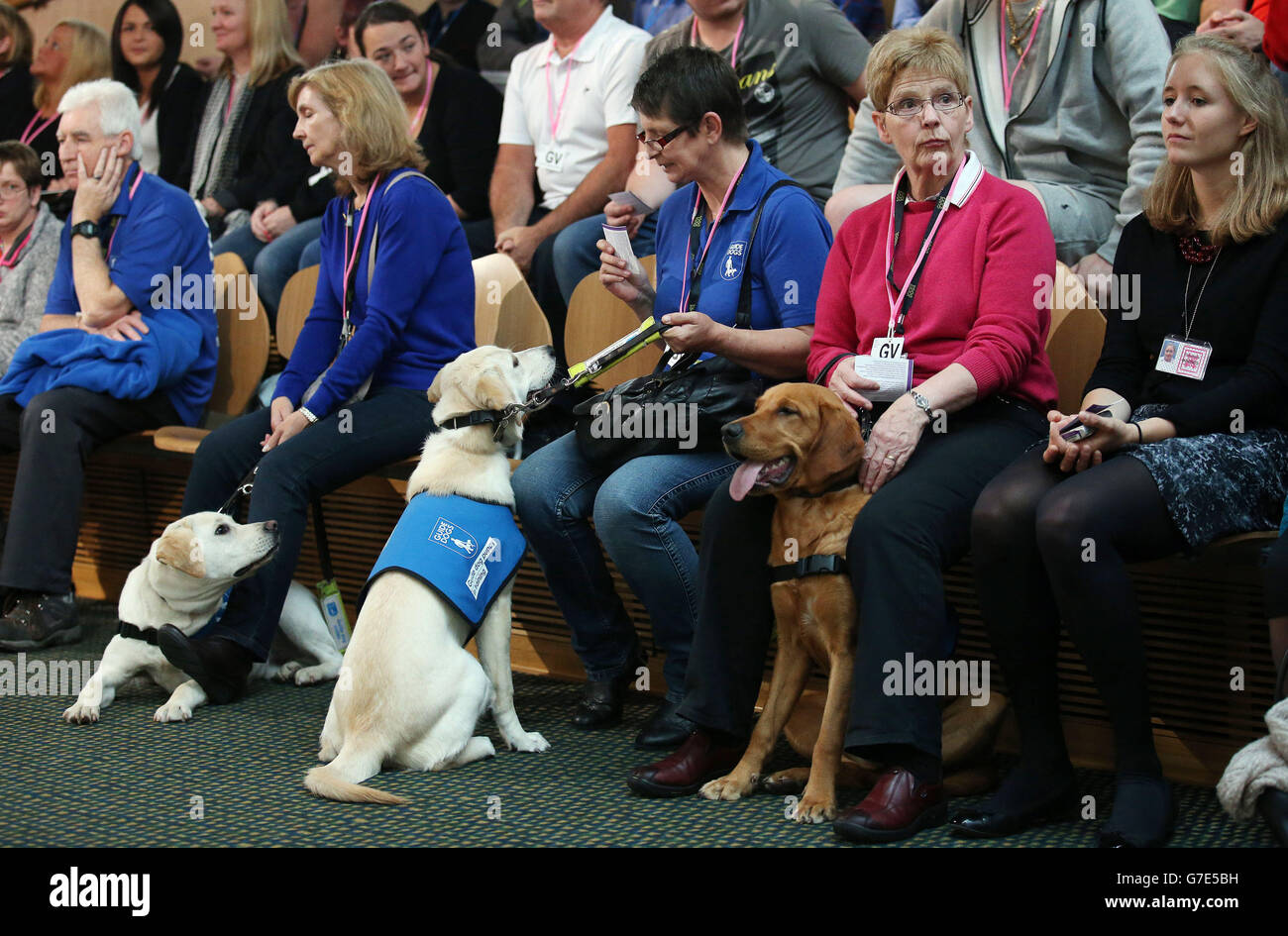 Scotland guidedogs hi-res stock photography and images - Alamy