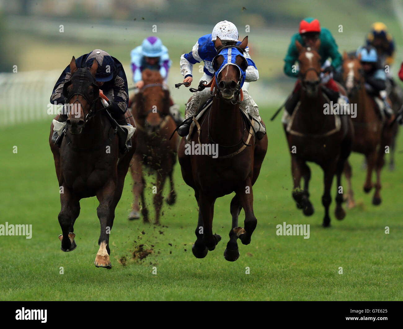 Horse Racing - Leicester Racecourse Stock Photo - Alamy
