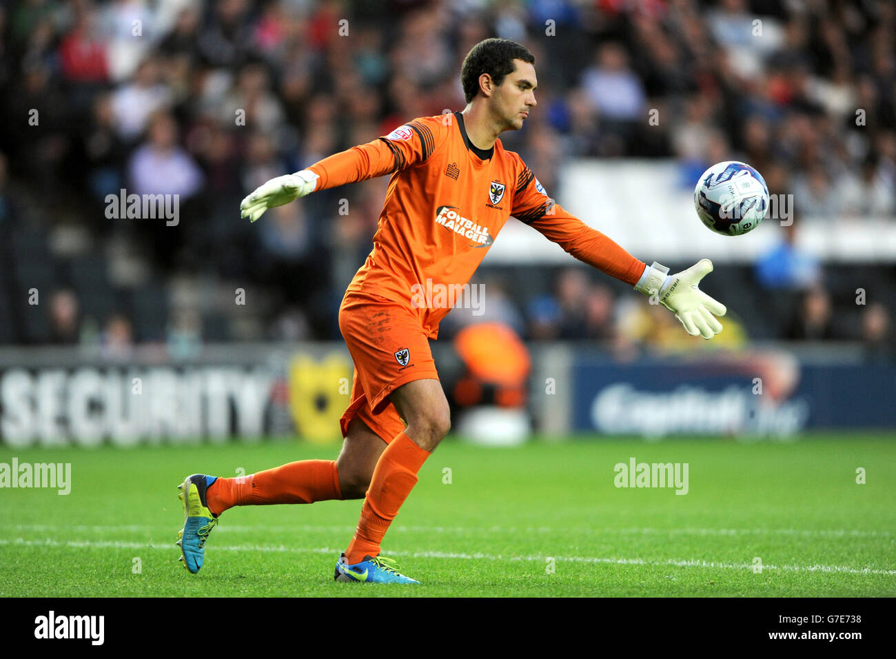 James Shea High Resolution Stock Photography and Images - Alamy