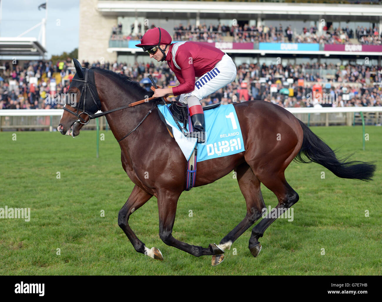 Belardo hi-res stock photography and images - Alamy