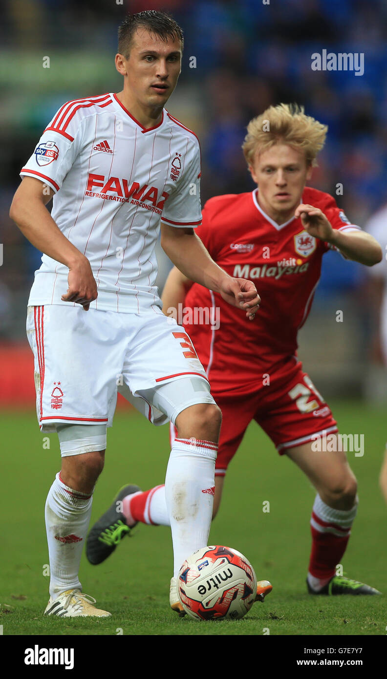 Robert moller hi-res stock photography and images - Alamy