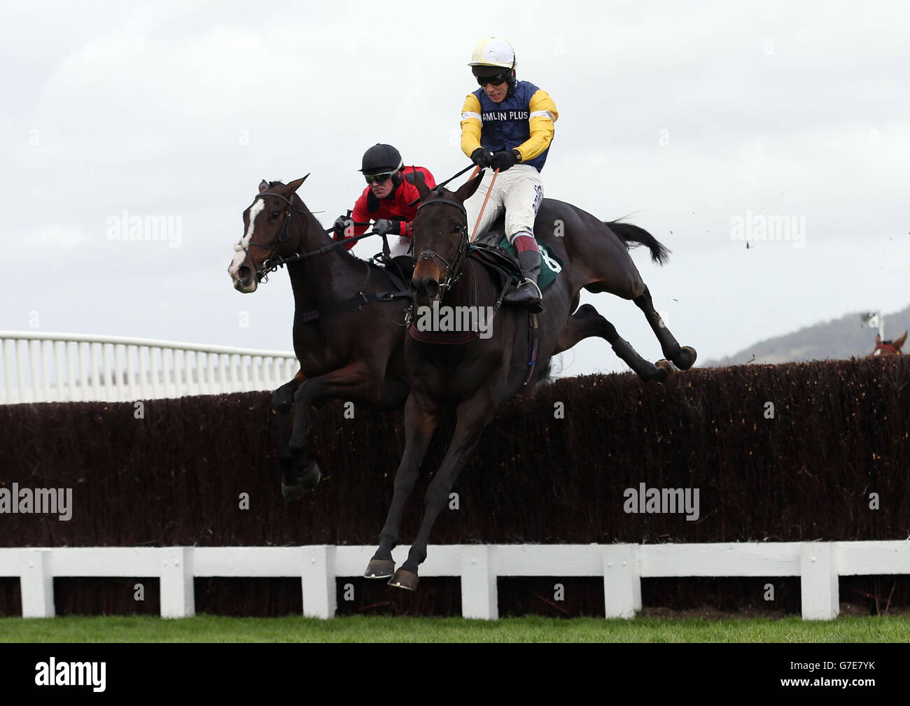 Jumps the last with persian snow hi-res stock photography and images ...