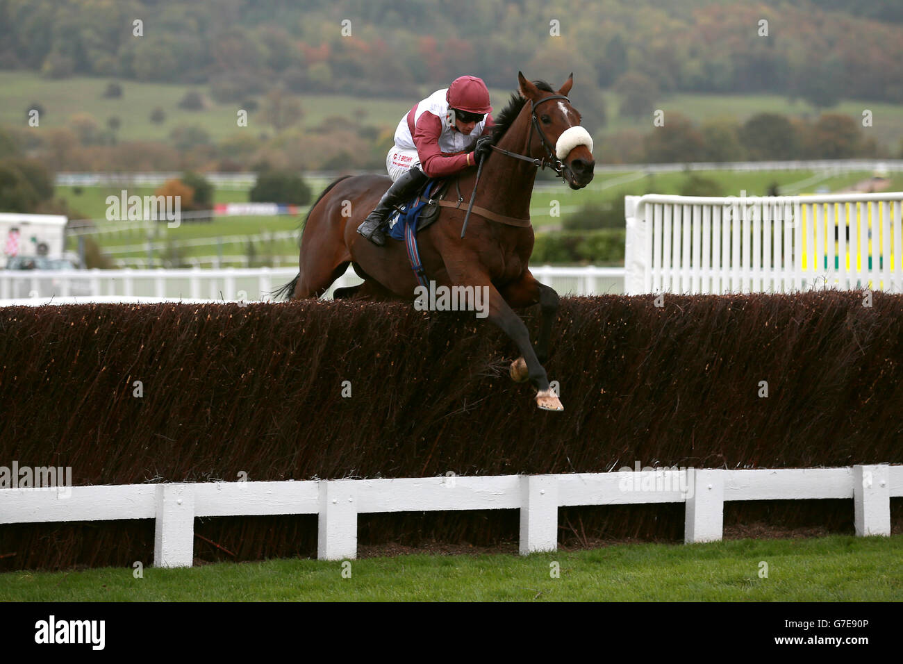 Jockey William Biddick on Buck Mulligan during the Cheltenham Monopoly ...