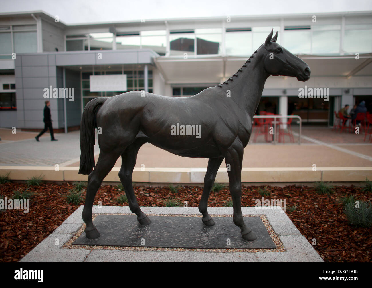 Arkle statue cheltenham hi-res stock photography and images - Alamy