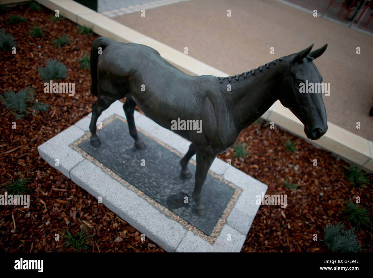 Arkle statue cheltenham hi-res stock photography and images - Alamy