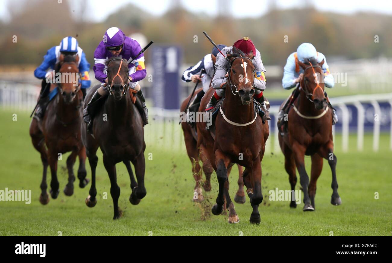 Horse Racing - Worthington's Armed Forces Raceday - Newbury Racecourse ...