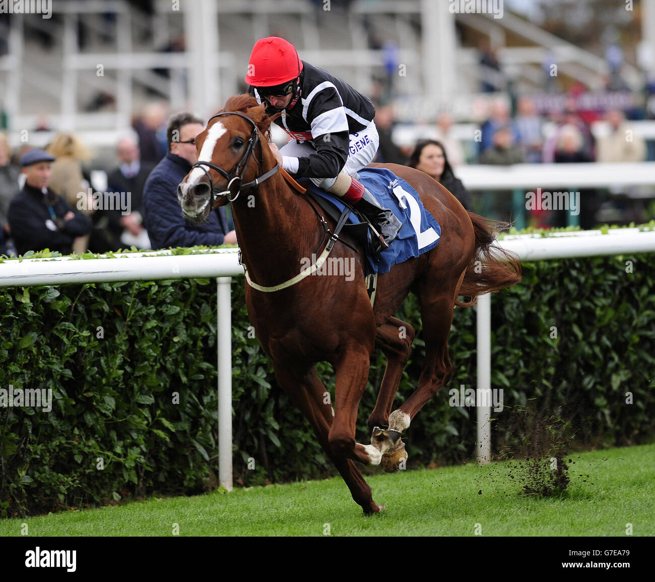 Win racing post trophy hi-res stock photography and images - Alamy