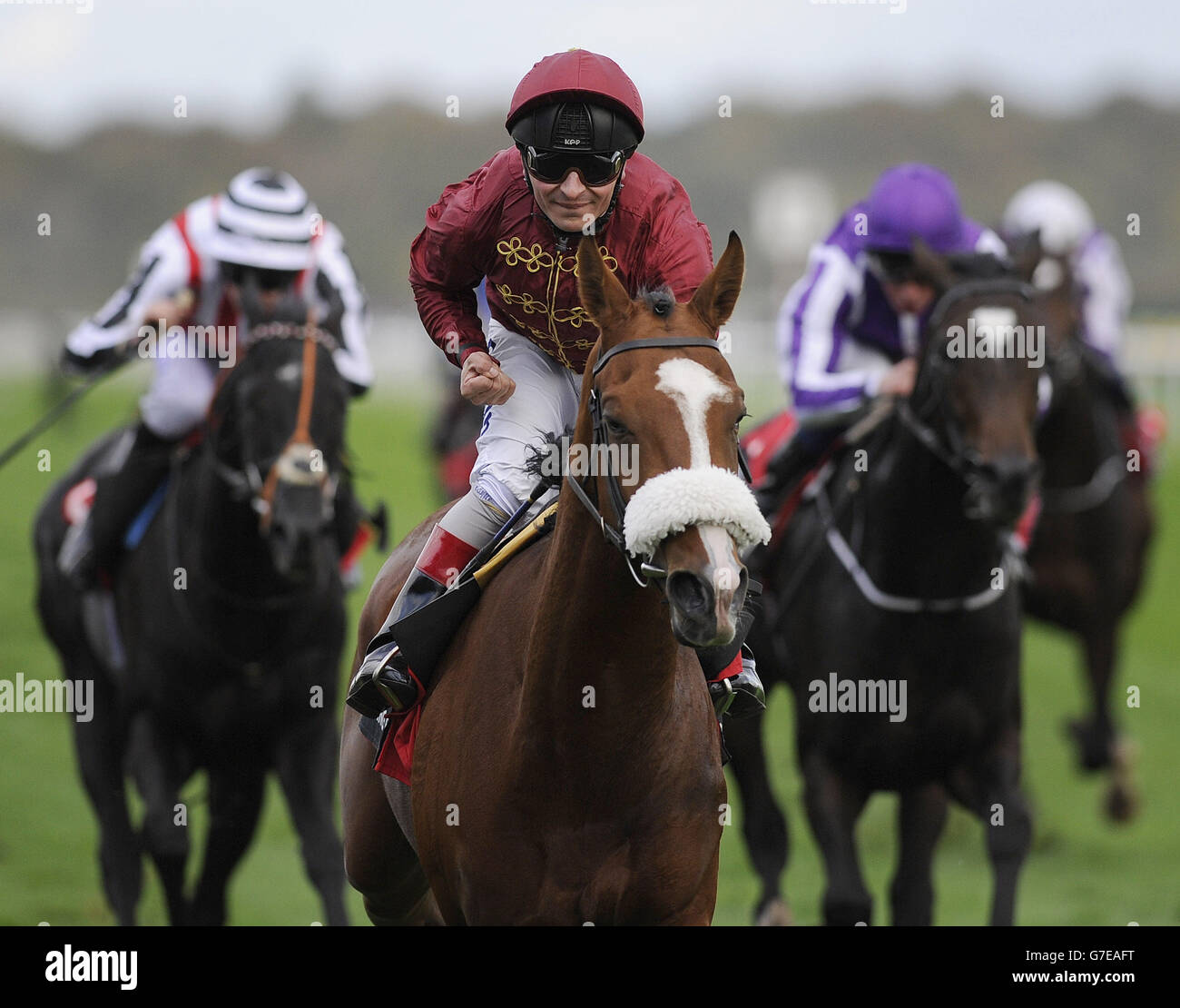 Horse Racing - Racing Post Trophy Day - Doncaster Racecourse. Elm Park ...