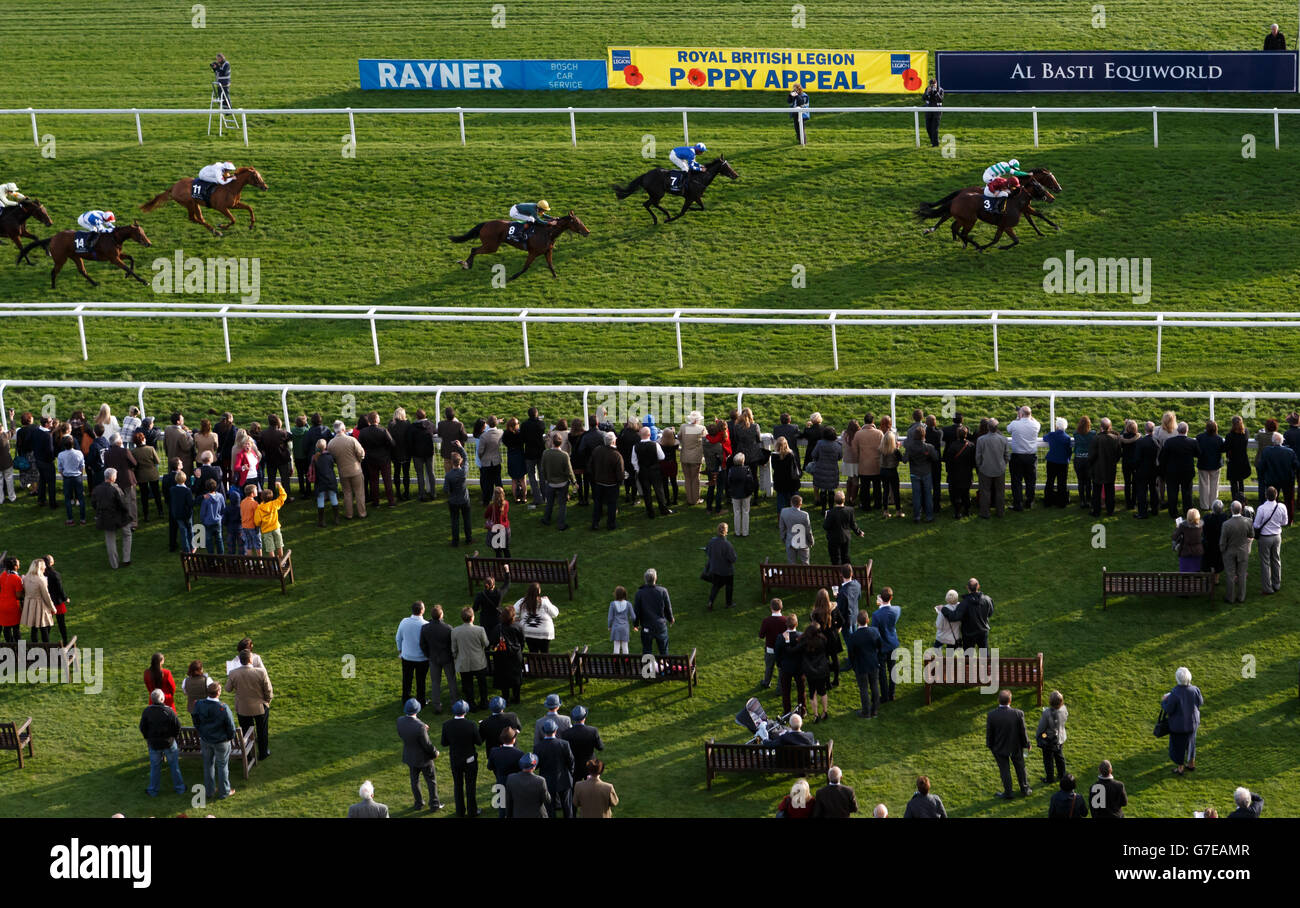 Finish newbury racecourse hi-res stock photography and images - Alamy