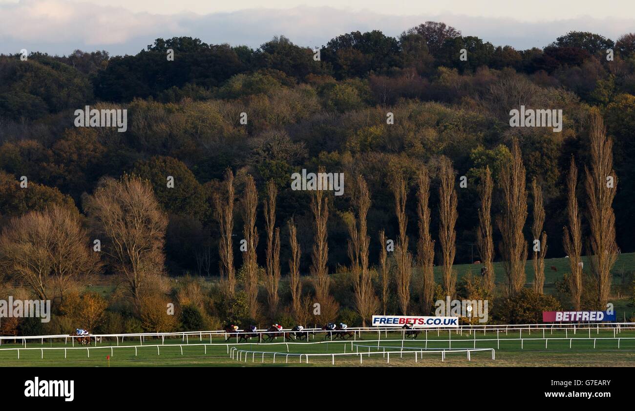 Horse Racing - Worthington's Armed Forces Raceday - Newbury Racecourse ...