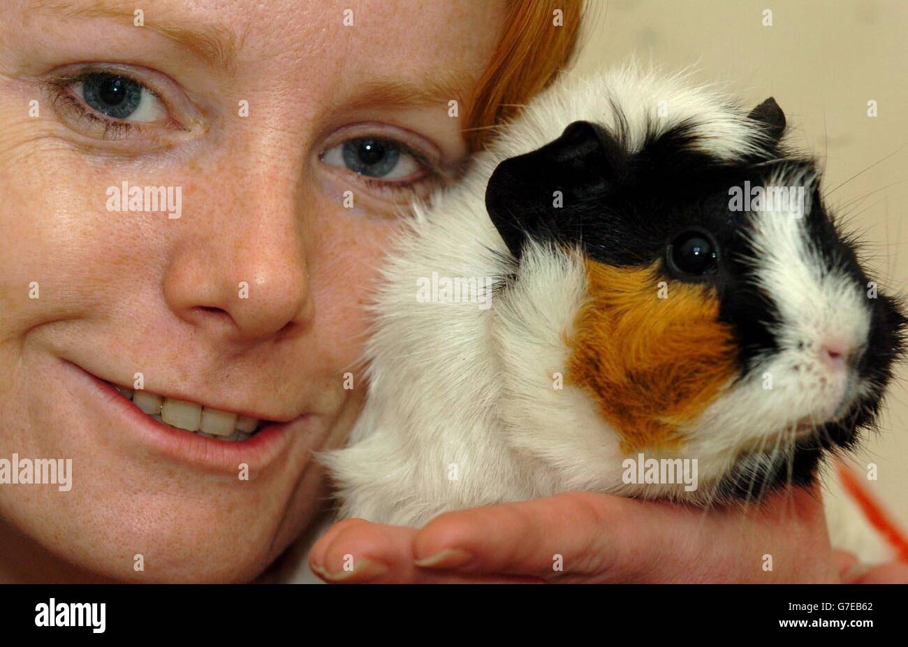 Gutted pigs hi-res stock photography and images - Alamy