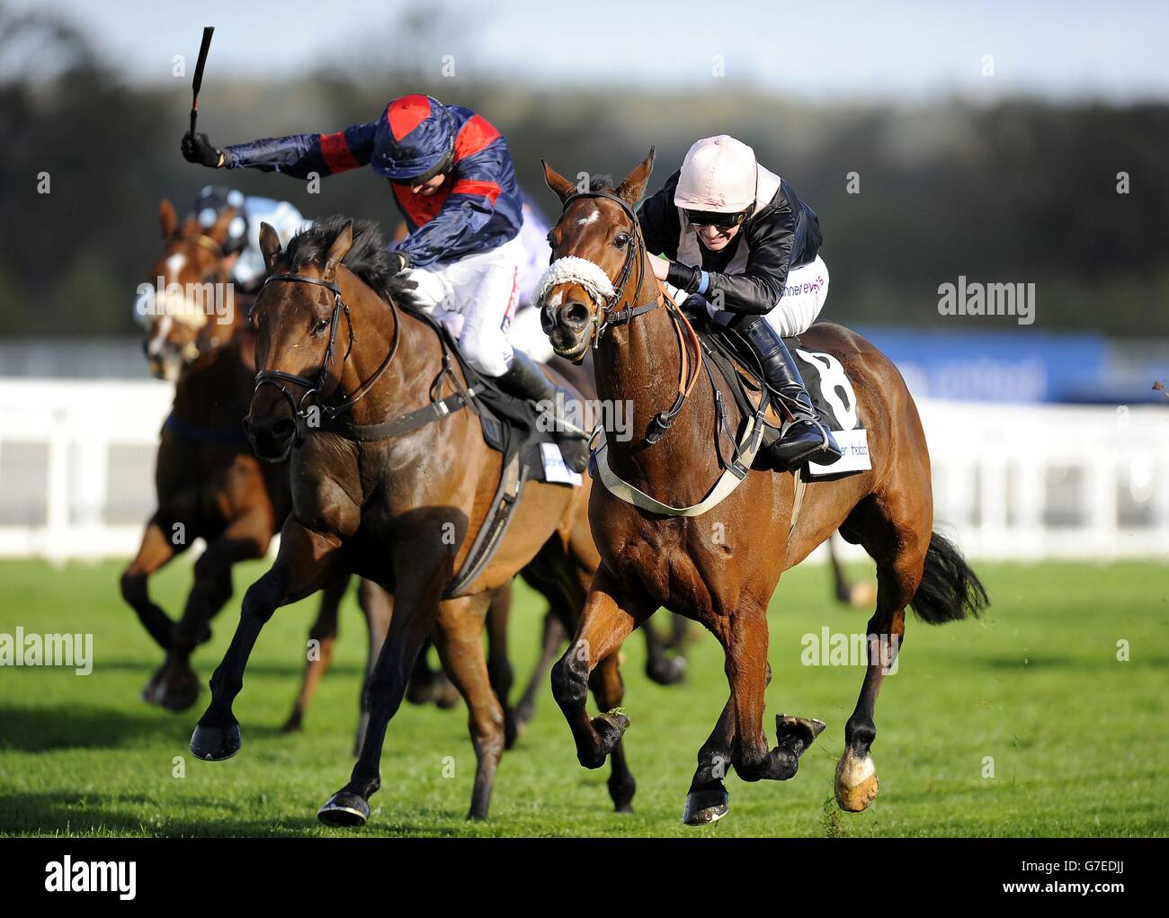 Cannon ascot racecourse hi-res stock photography and images - Alamy